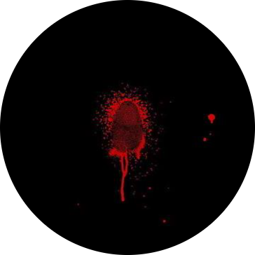 BM-TechID | Portfolio